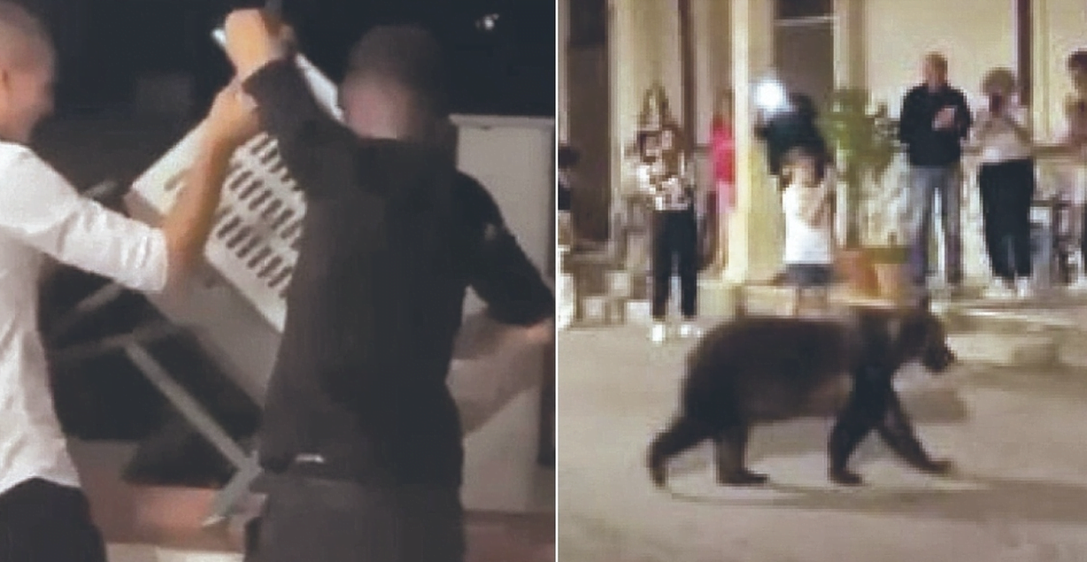 Capretta e Orsa uccise: Crescono le minacce e gli insulti per i ... Capretta e Orsa uccise: Crescono le minacce e gli insulti per i ...